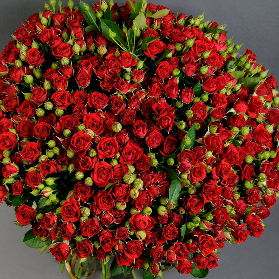 Buchet din 51 de Fire De Trandafiri Mini Rose 50cm - Betty Flowers